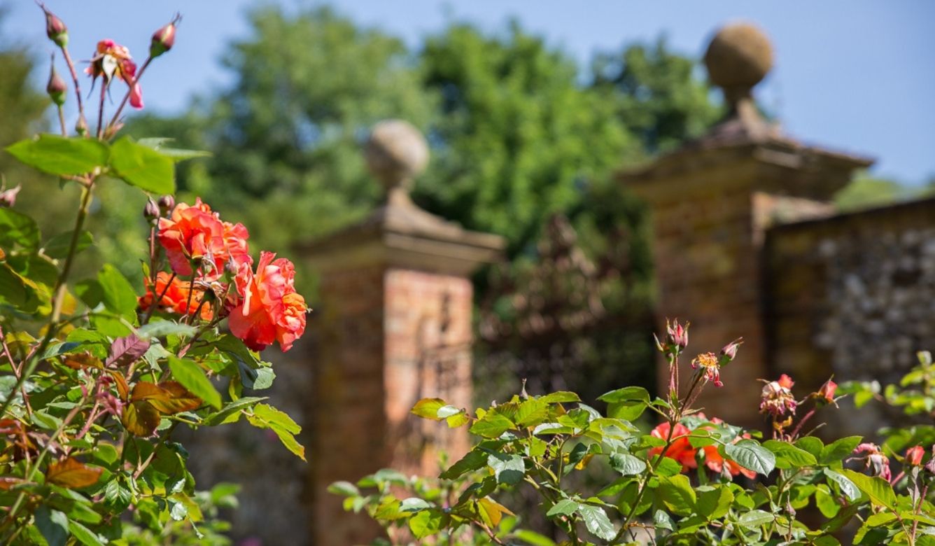 Chawton House Garden Tour - Chawton House