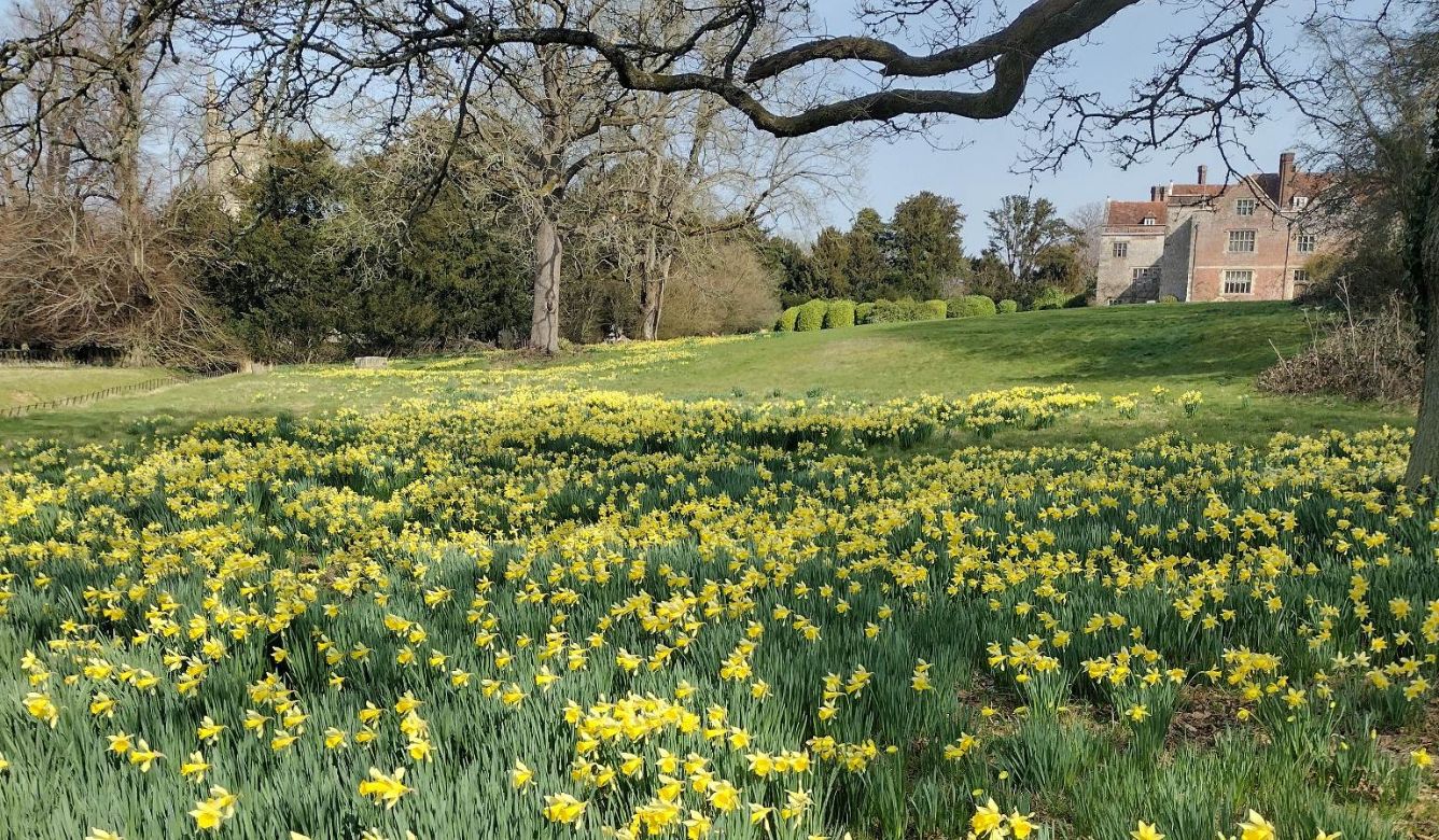 Easter at Chawton House - Chawton House
